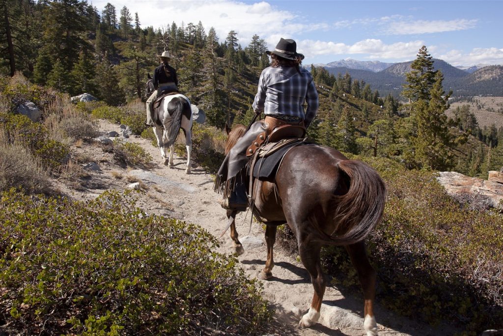 Sierra Meadows Ranch | Mammoth lodging, horse boarding & event space